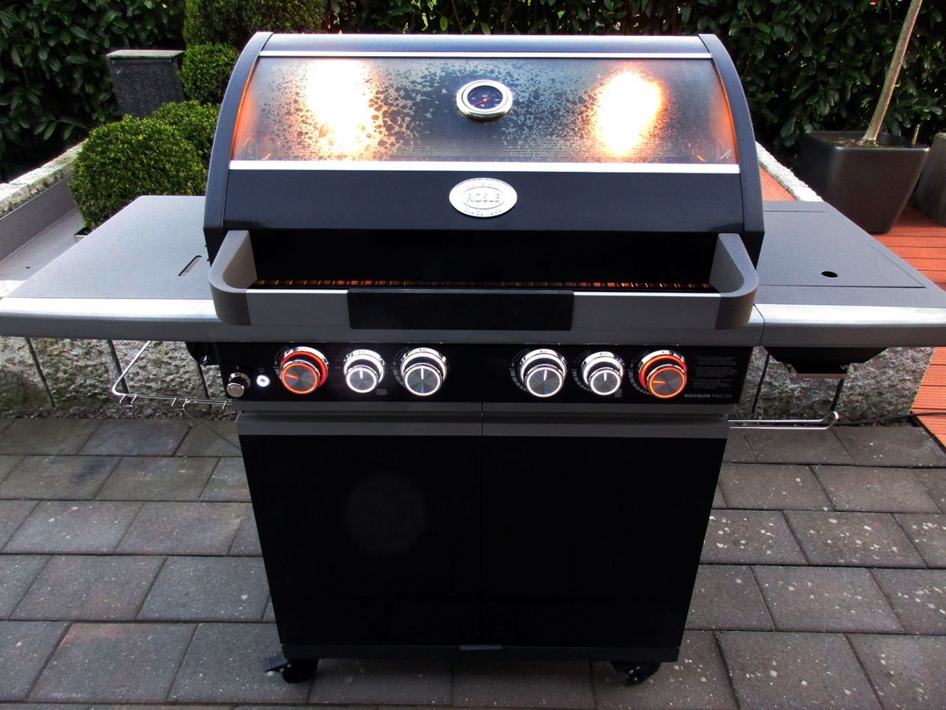Schone Rosle Magnum Pro G4 Bild